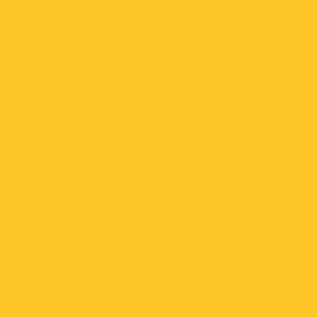 Kodak Yellow – Timex Mica